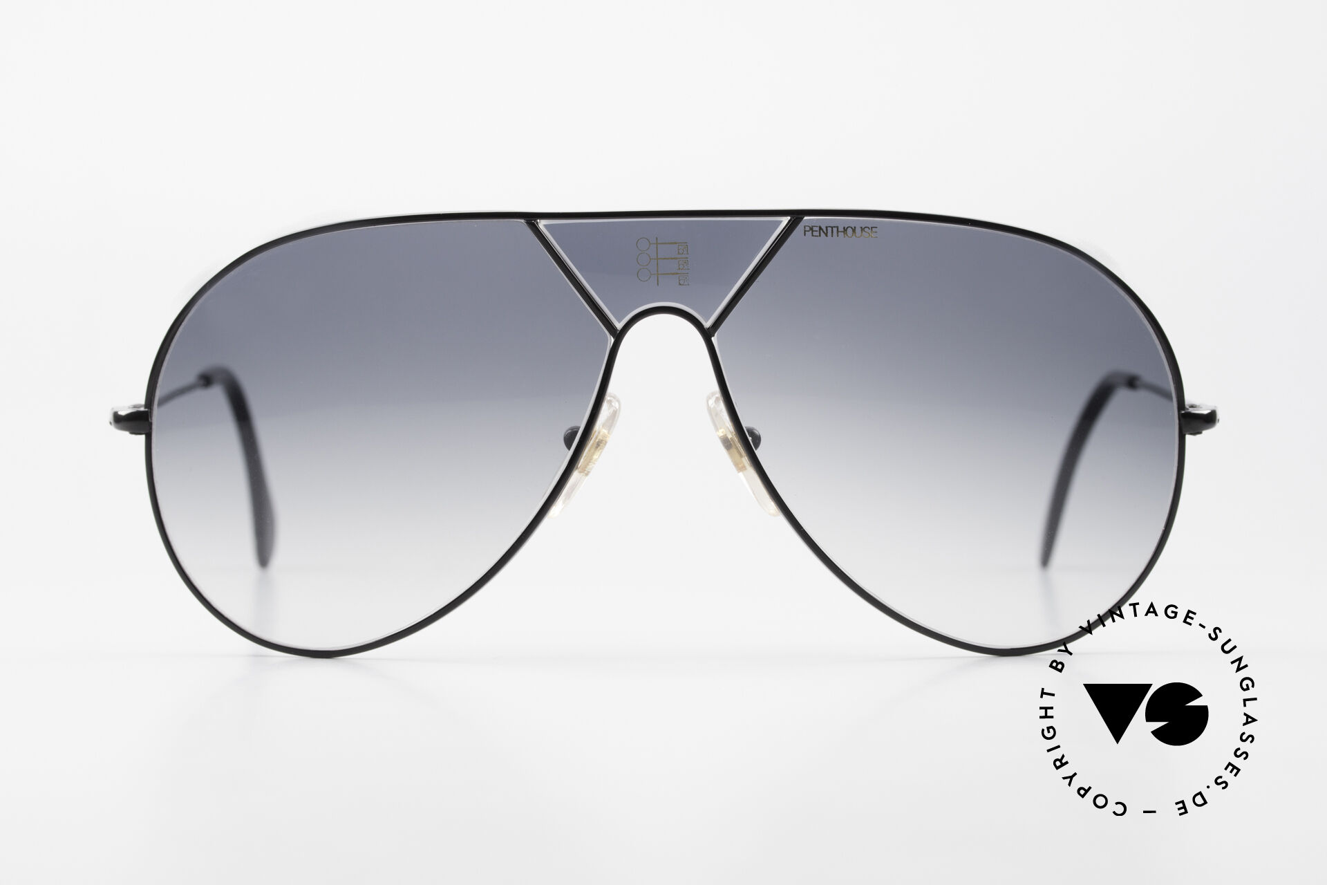 Sunglasses Alpina Penthouse One of a Kind Collectible