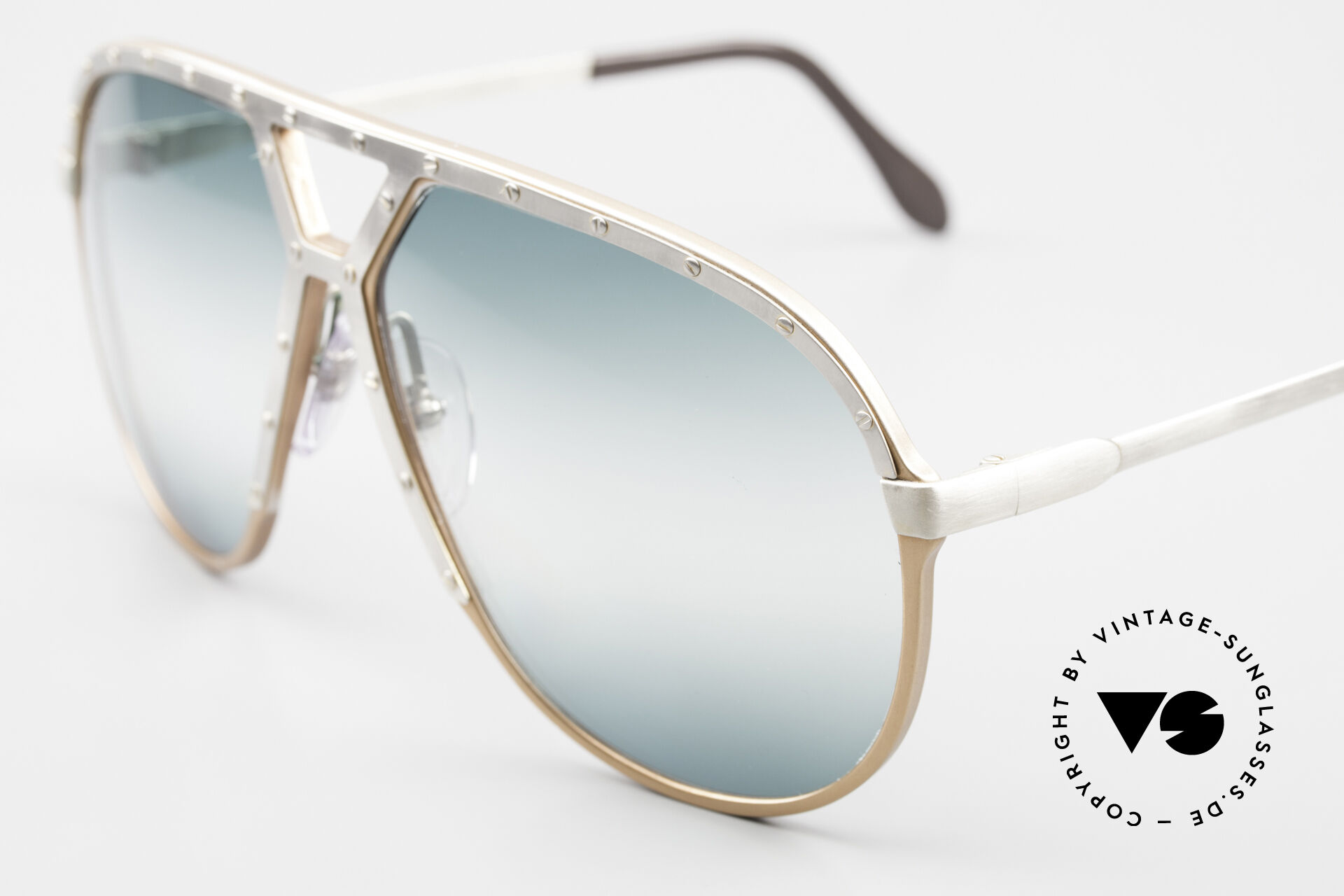 Sunglasses Alpina M1 Antique Double Gradient